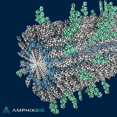 FDA grants Breakthrough Device designation to Amphix Bio's bone regeneration product ...