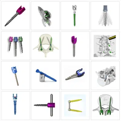 (UPDATED 2024):+20 Midline Cortical Systems to Know...! - SPINEMarketGroup