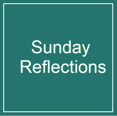 Sunday Reflections on the Changes in the Spine Market! - SPINEMarketGroup